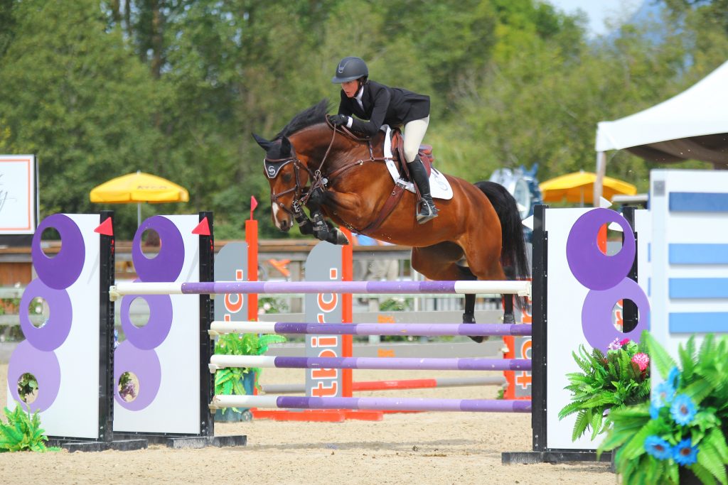 Duncan Horse Stable - Services | Horse Training - Individual Programs