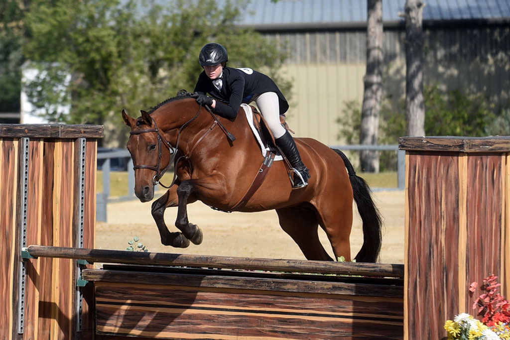 Duncan Horse Stable - Equestrian Center | Photo Gallery