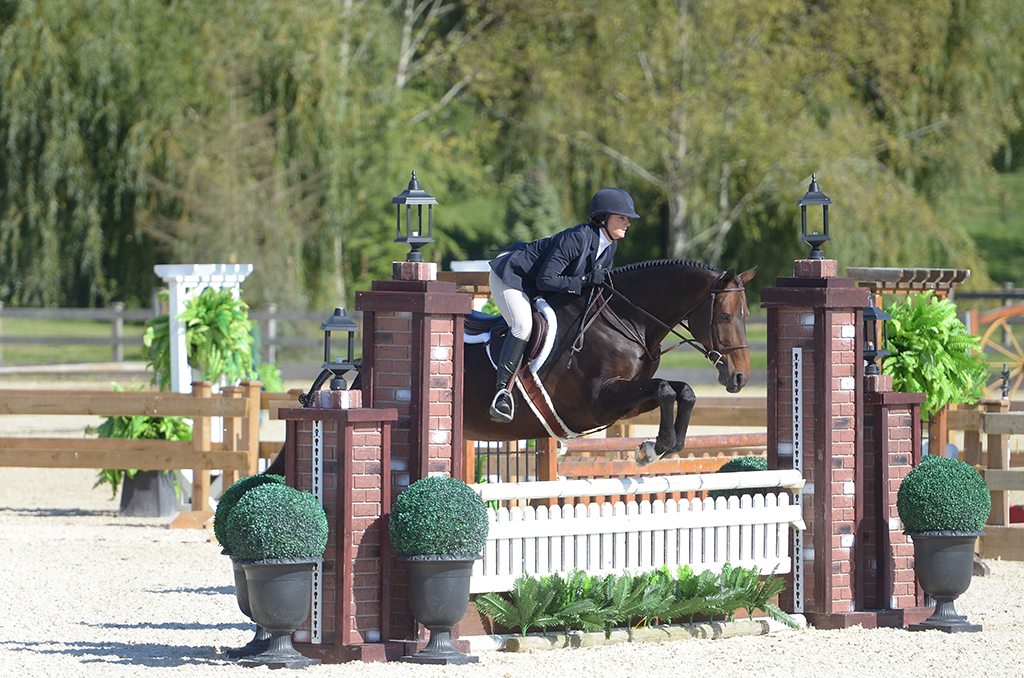 Duncan Horse Stable - Equestrian Center | Photo Gallery