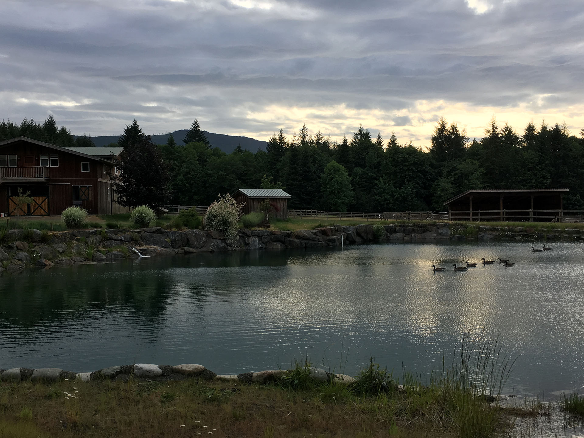 Foxstone News Archives | Foxstone Stable