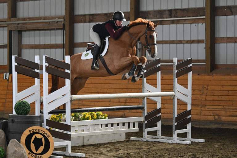 Lirac-O - SOLD | Foxstone Stable, Duncan