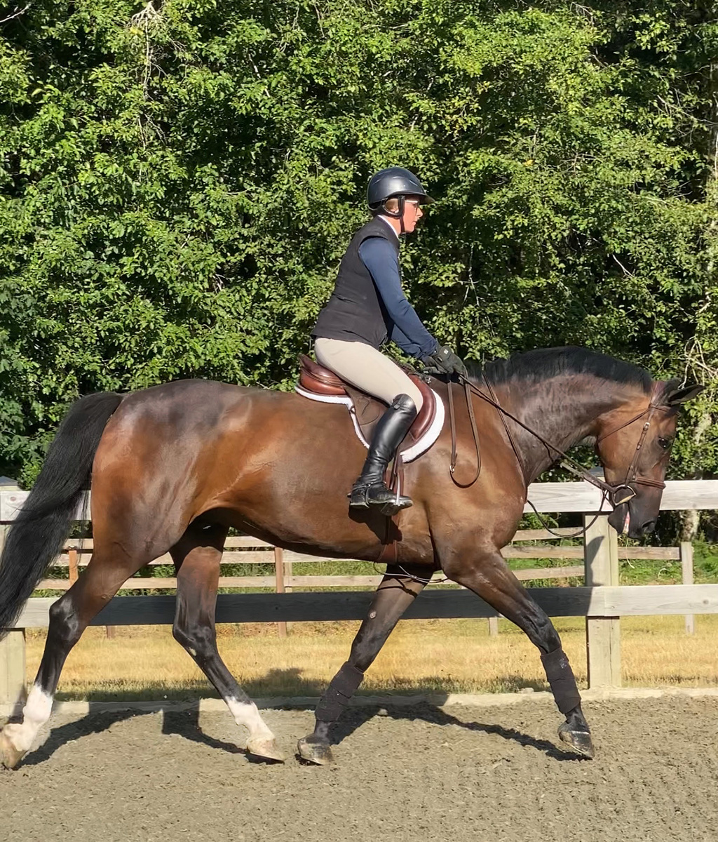 Duncan Horse Stable - Equestrian Center | News & Events